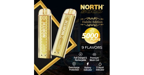 North 5000 Disposable 5%