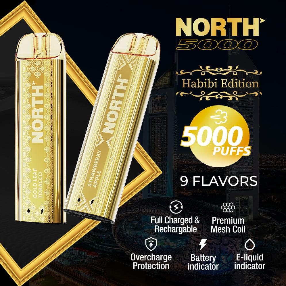 North 5000 Disposable 5%